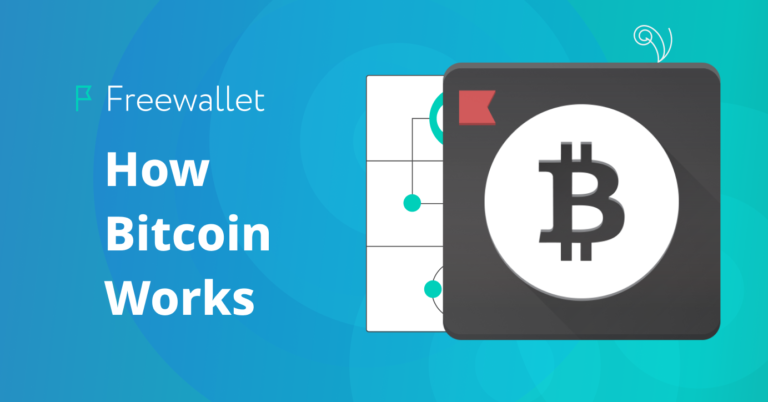How to Store Bitcoin Safely – Ultimate Guide by Freewallet | Freewallet